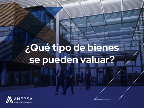 ¿Qué tipo de bienes se pueden valuar? - Anepsa